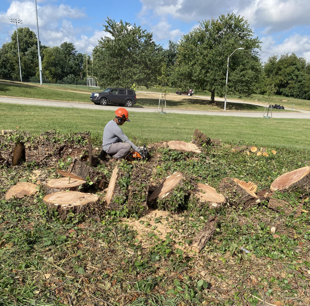 Black Butterfly Teaching Farm – Farm Alliance of Baltimore
