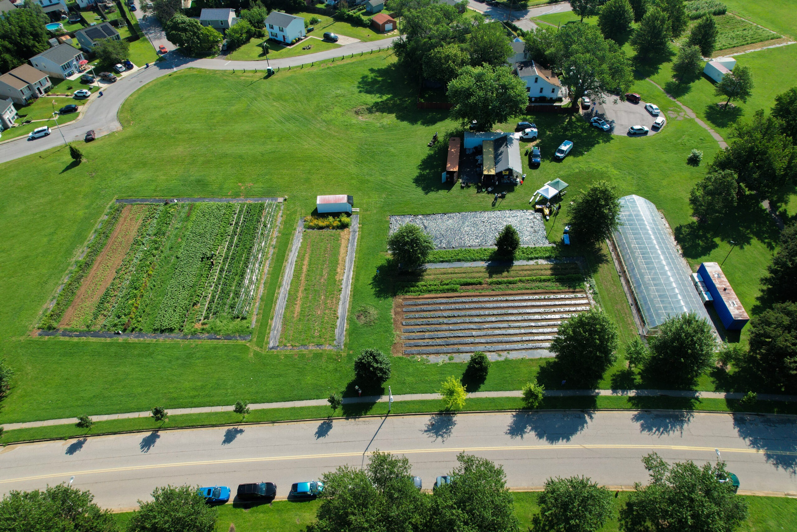 Black Butterfly Teaching Farm – Farm Alliance of Baltimore